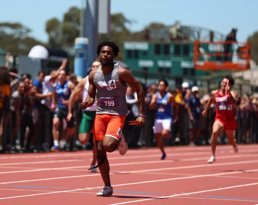 Finished Results - Article